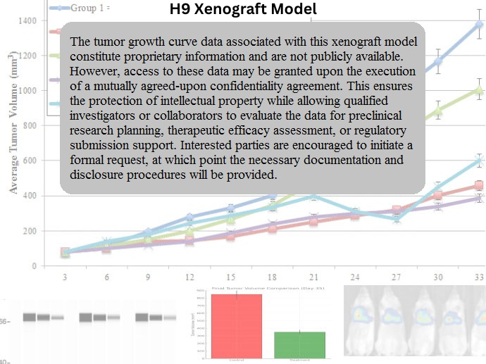 H9 Xenograft Model – Xenograft Model Database