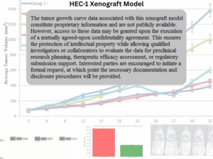HEC-1 Xenograft Model – Xenograft Model Database