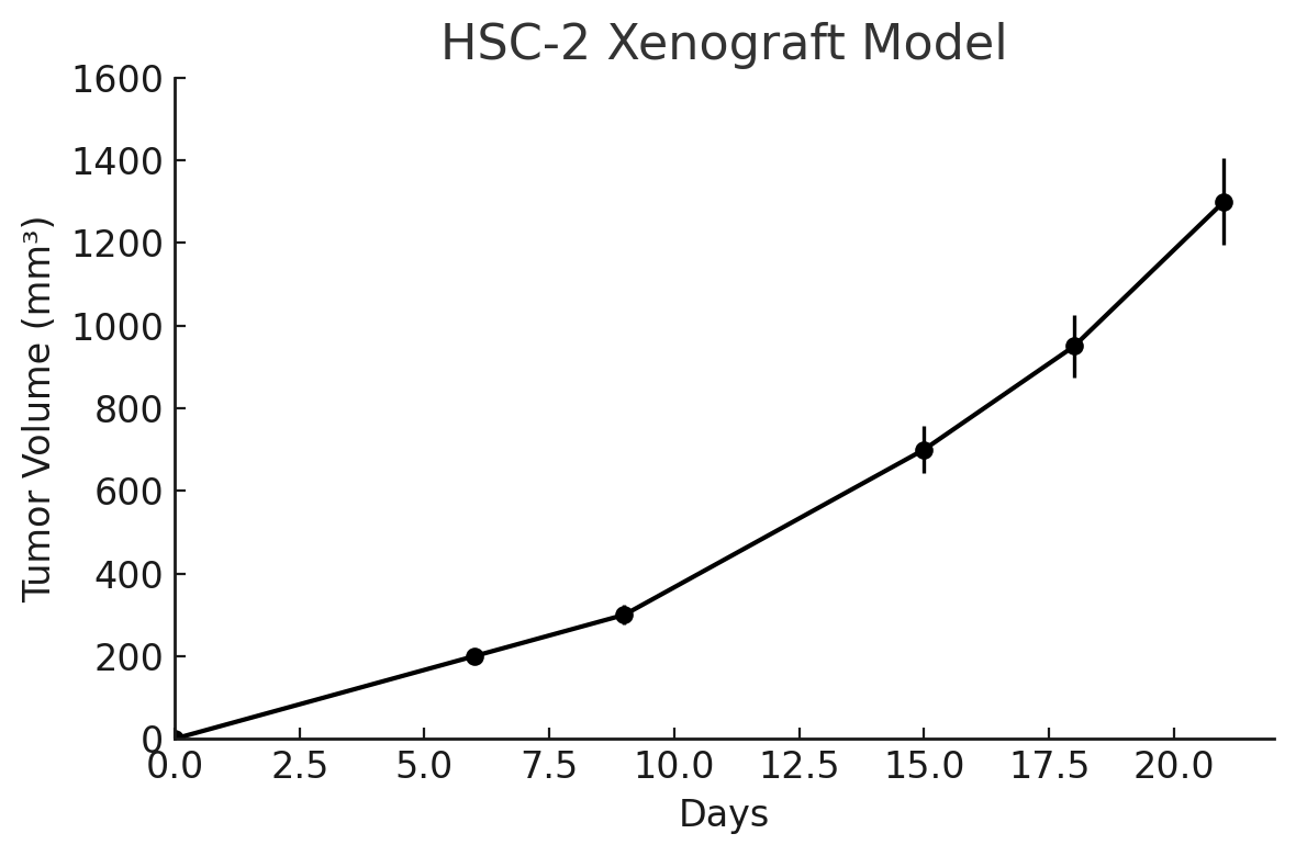 HSC-2 Xenograft Model – Xenograft Model Database