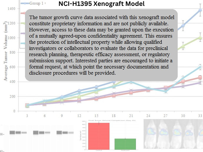 NCI-H1395 Xenograft Model – Xenograft Model Database