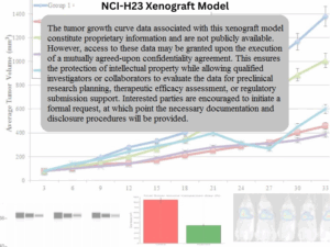 NCI-H23 Xenograft Model – Xenograft Model Database