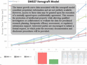 SW837 Xenograft Model – Xenograft Model Database
