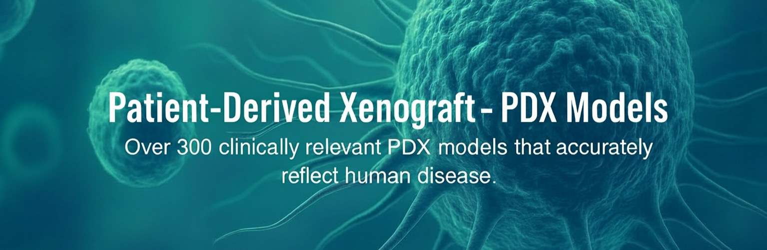 Patient Derived Xenograft – PDX Models – Xenograft Model Database
